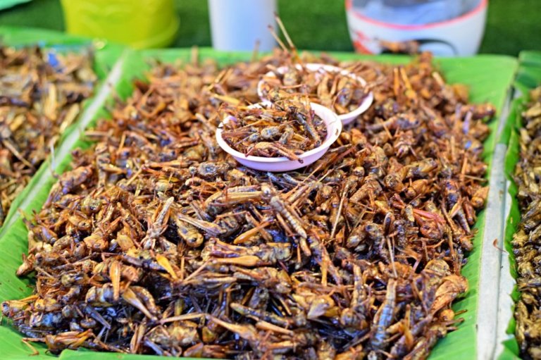 The Best Street Food in Southeast Asia | Local Dishes Recommended by ...