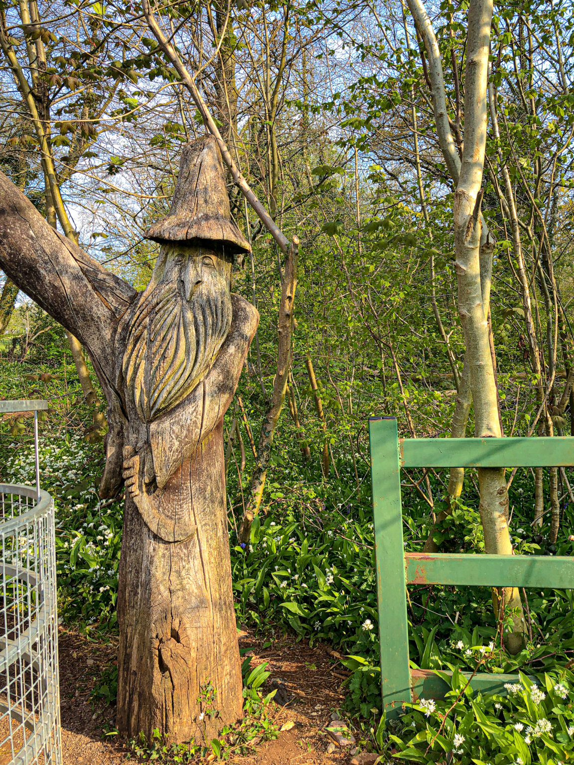 A Guide to Castell Coch Walks Near Cardiff, Wales