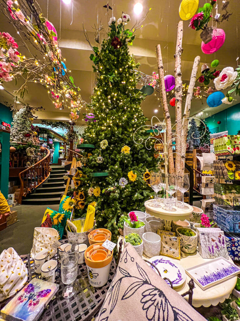 18 Banff Christmas Activities For a Magical Christmas in Banff!