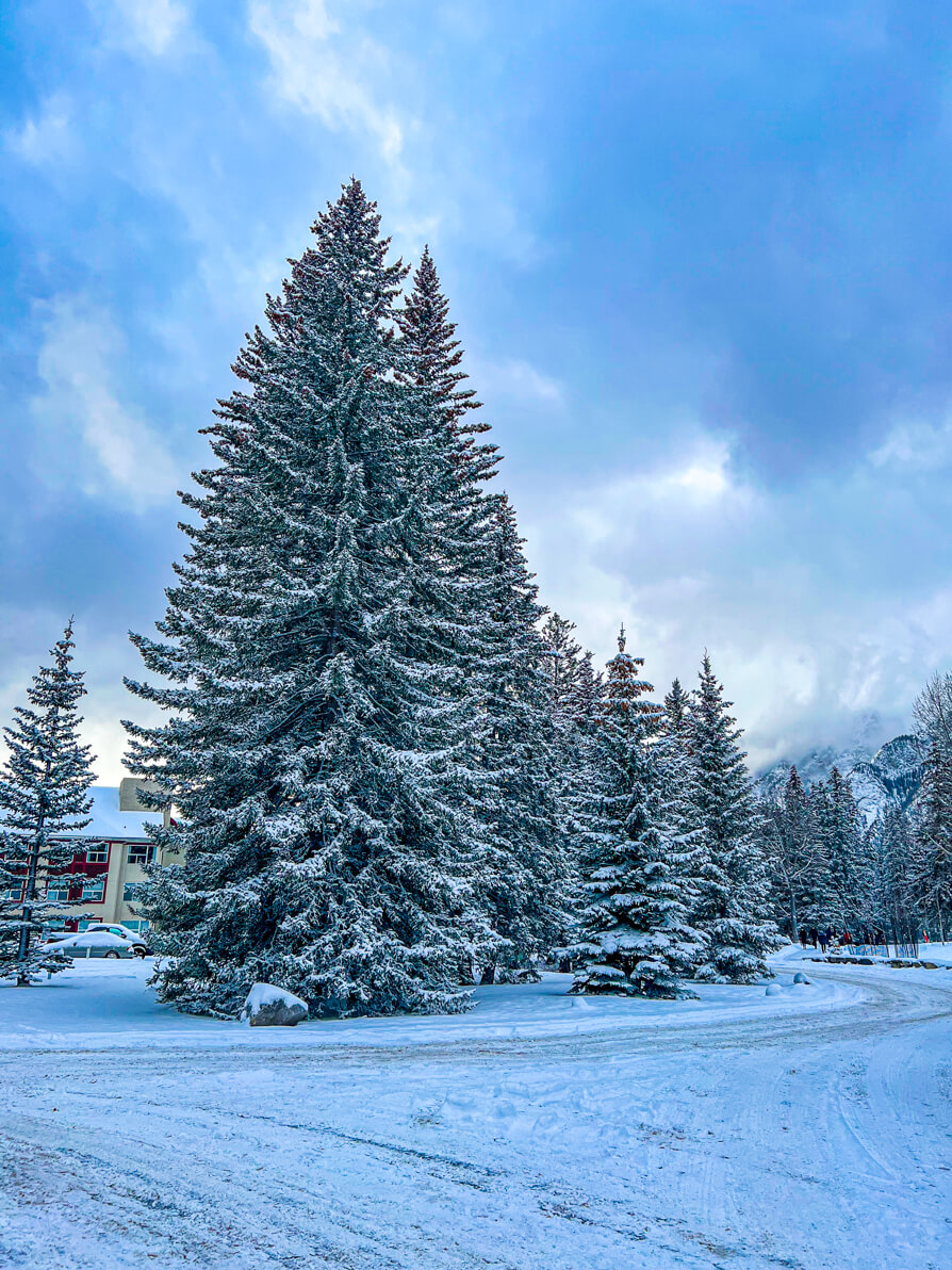 18 Banff Christmas Activities For a Magical Christmas in Banff!
