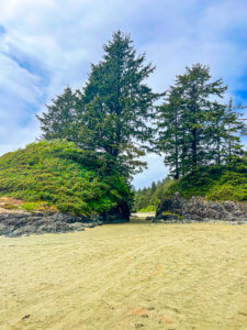 Twilight Beach Scene Filming Location on Vancouver Island!